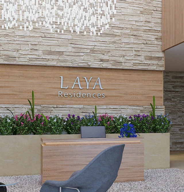 Laya Developers